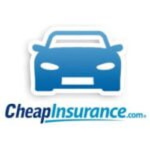 CheapInsurance.com Ultimate Insurance Terms Guide